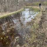 Navarino Nature Center Loop Trail, Wisconsin - 169 Reviews, Map | AllTrails