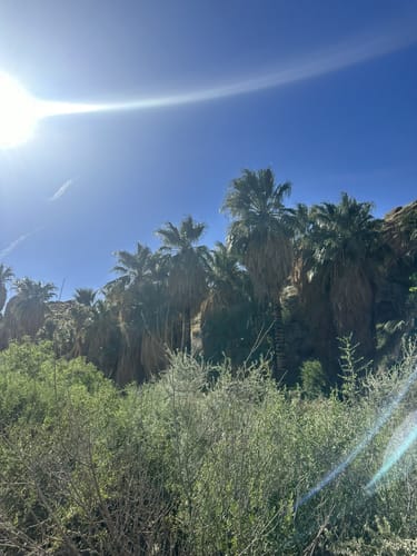 Best Hikes and Trails in Cahuilla Native American Land - Indian Canyons ...