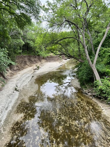 Best Hikes and Trails in Spring Creek Nature Area | AllTrails