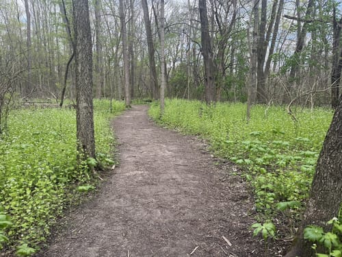 2023 Best Wild Flowers Trails in Bill Yeck Park | AllTrails