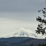 Chuckanut Ridge Trail, Washington - 317 Reviews, Map | AllTrails