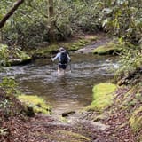 The Boogerman Trail, North Carolina - 434 Reviews, Map | AllTrails