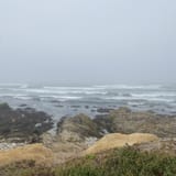 Spanish Bay Trail, California - 330 Reviews, Map | AllTrails