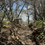 Appalachian Trail: Woody Gap to Neel Gap, Georgia - 556 Reviews, Map ...
