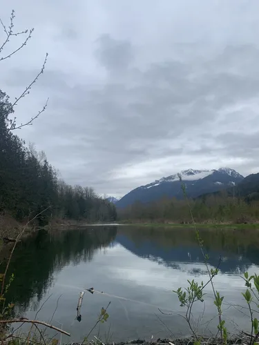 Best Hikes and Trails in Chilliwack River Provincial Park | AllTrails