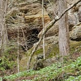 Big Spring Hollow Falls Trail, Ohio - 286 Reviews, Map | AllTrails