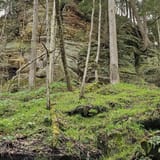 Big Spring Hollow Falls Trail, Ohio - 286 Reviews, Map | AllTrails