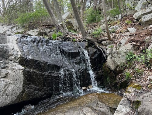 Best Hikes and Trails in Wallkill National Wildlife Refuge | AllTrails