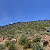 Temple Quarry Trail, Utah - 638 Reviews, Map | AllTrails