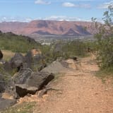 Temple Quarry Trail, Utah - 638 Reviews, Map | AllTrails