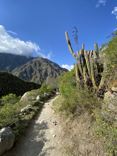 2023 Best No Dogs Trails in Machu Picchu Historic Sanctuary | AllTrails
