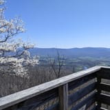 Kennedy Peak Loop, Virginia - 513 Reviews, Map | AllTrails