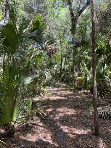 Best Hikes and Trails in Potts Preserve | AllTrails