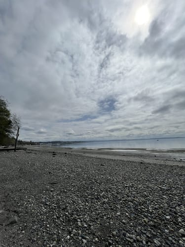 Best Hikes and Trails in Marine View Park | AllTrails