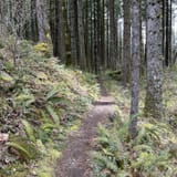 Tamanous Trail to PCT & Gillette Lake, Washington - 254 Reviews, Map ...