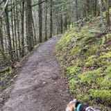 Tamanous Trail to PCT & Gillette Lake, Washington - 254 Reviews, Map ...