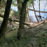 Torreya Trail, Florida - 368 Reviews, Map | AllTrails