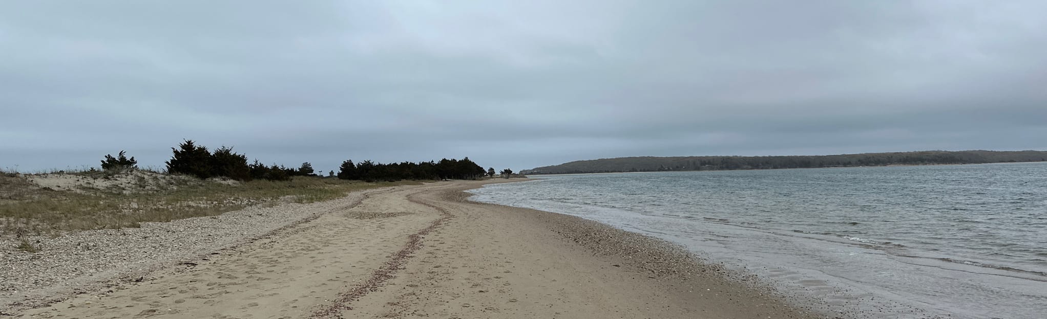 Cedar Point Lighthouse Loop Trail: 250 Reviews, Map - New York | AllTrails