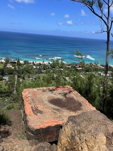 De beste routes in Pupukea Paumalu Forest Reserve voor 2023 | AllTrails