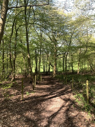 2023 Best Lake Trails in Colne Valley Park | AllTrails