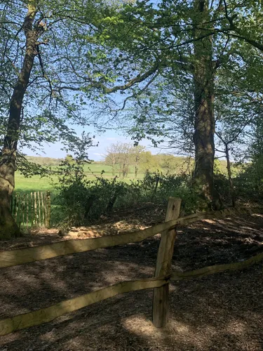 Best 10 Hiking Trails in Ruislip Woods National Nature Reserve | AllTrails