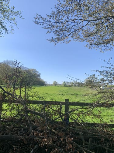 Best Hikes and Trails in Ruislip Woods National Nature Reserve | AllTrails