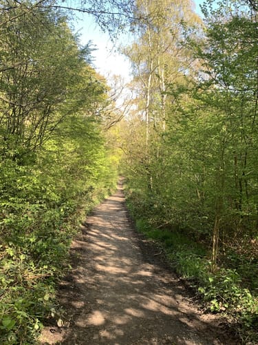 Best Hikes and Trails in Ruislip Woods National Nature Reserve | AllTrails