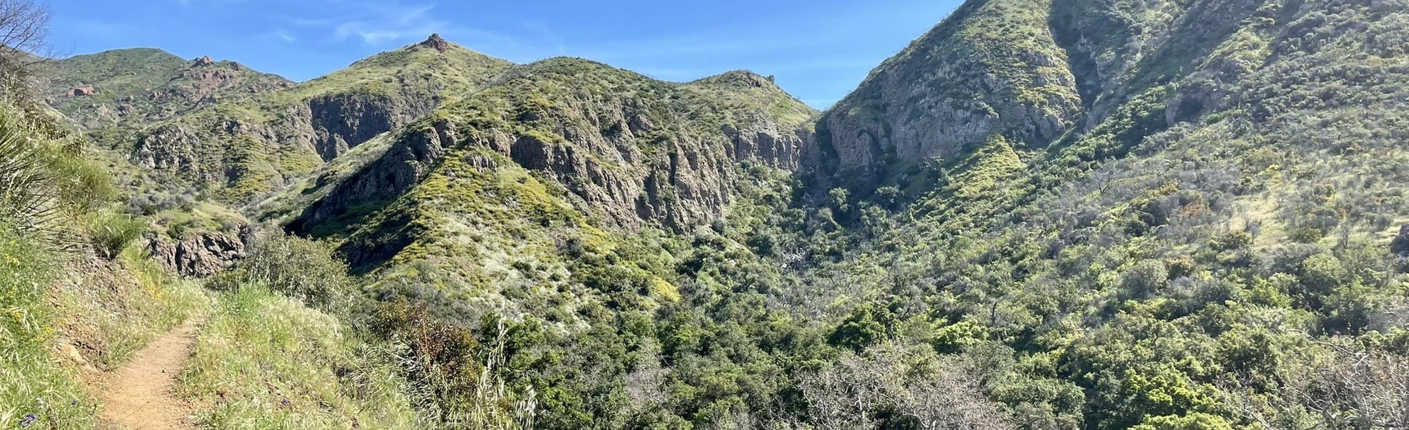 Grotto Trail: 1089 Reviews, Map - California | AllTrails