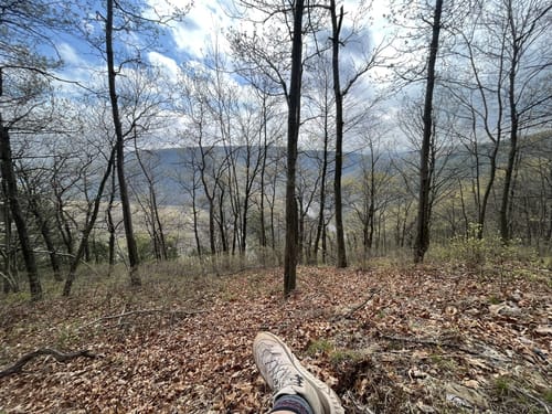 2023 Best Forest Trails in Nesquehoning | AllTrails