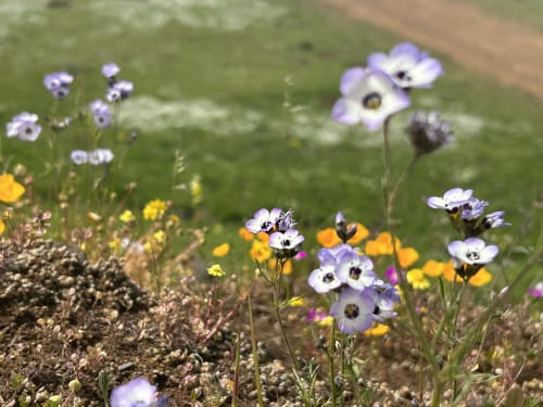 Best Hikes and Trails in Table Top Wilderness | AllTrails