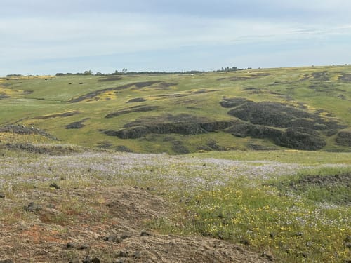 Best Hikes and Trails in Table Top Wilderness | AllTrails