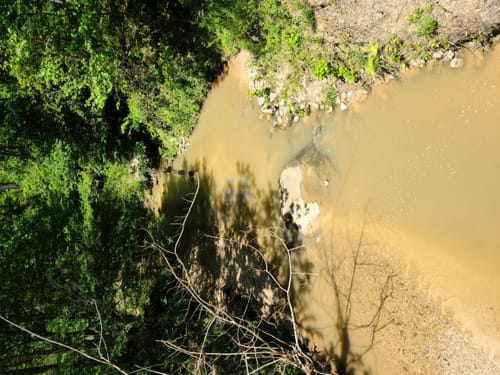 2023 Best Forest Trails in Homochitto National Forest | AllTrails