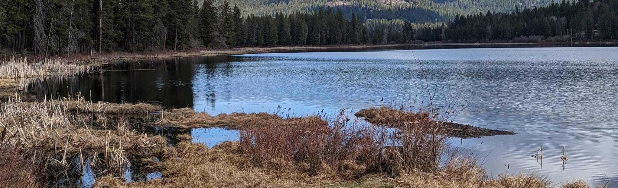 Shepard Lake Shore Trail: 56 Reviews, Map - Idaho | AllTrails