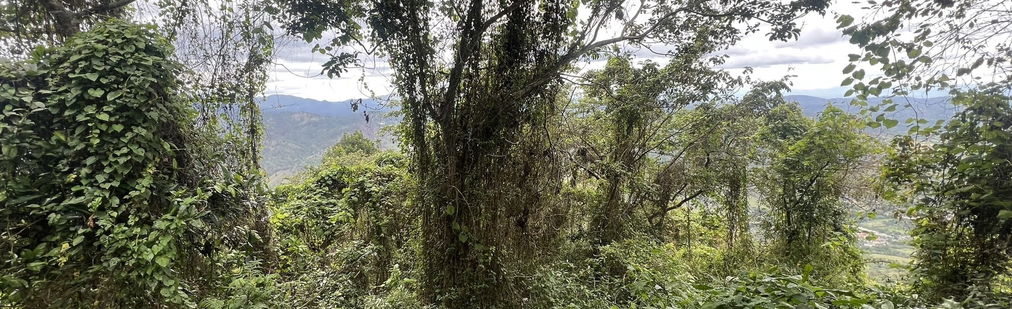 El Mogote: 88 Reviews, Map - La Vega, Dominican Republic | AllTrails