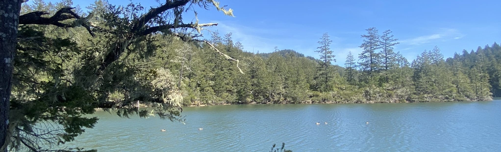 Kent Lake via Candalero Canyon Trail Loop: 347 Reviews, 477 Photos, Map ...
