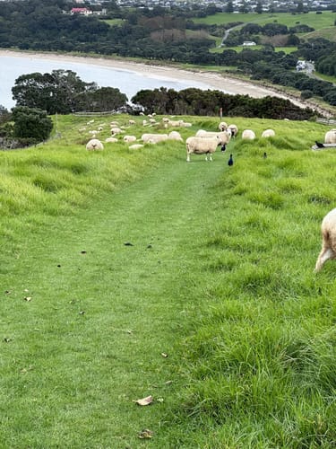 Best Hikes and Trails in Shakespear Regional Park | AllTrails