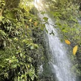 Newton’s Waterfall from Akaroa, Canterbury, New Zealand - 128 Reviews ...