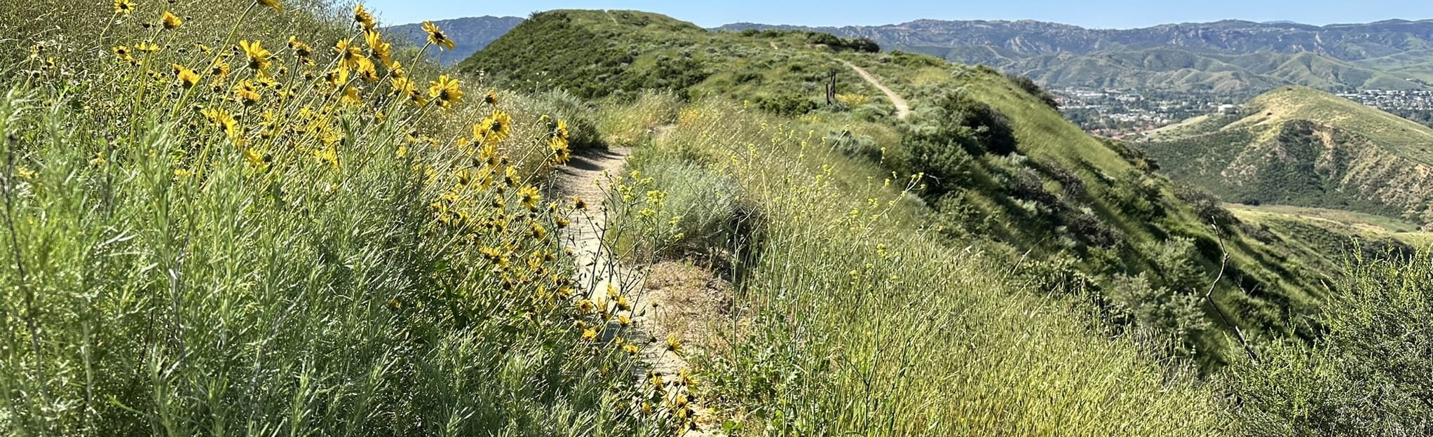 Tapo Canyon Trail to Rocky Peak Trail: 3.498 fotos - Califórnia | AllTrails