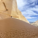 Cutler Point, Utah - 234 Reviews, Map | AllTrails