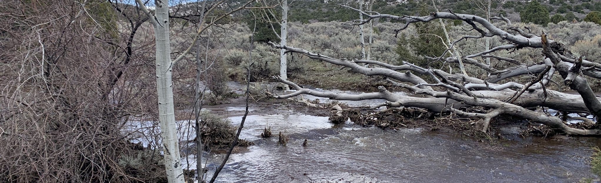 Pinto Canyon: 10 Reviews, Map - Utah | AllTrails