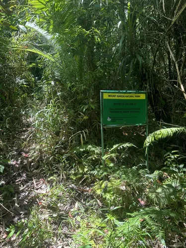 Best Hikes and Trails in Mount Isarog National Park | AllTrails