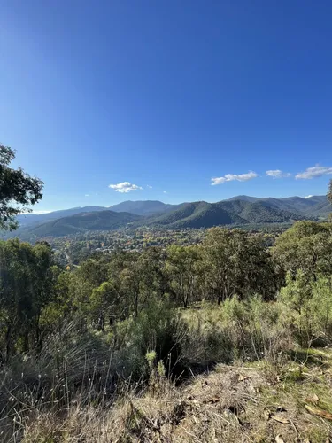 10 Best Trails and Hikes in Bright | AllTrails