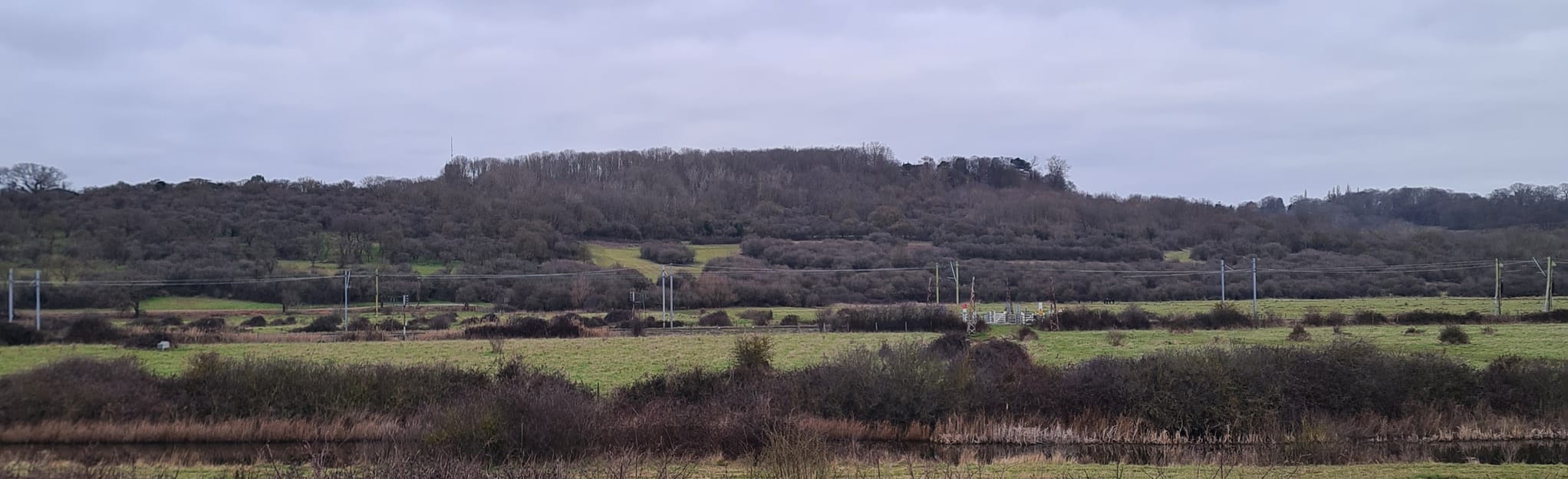 Hadleigh Castle Country Park and Belfairs Park: 151 foto - Essex ...