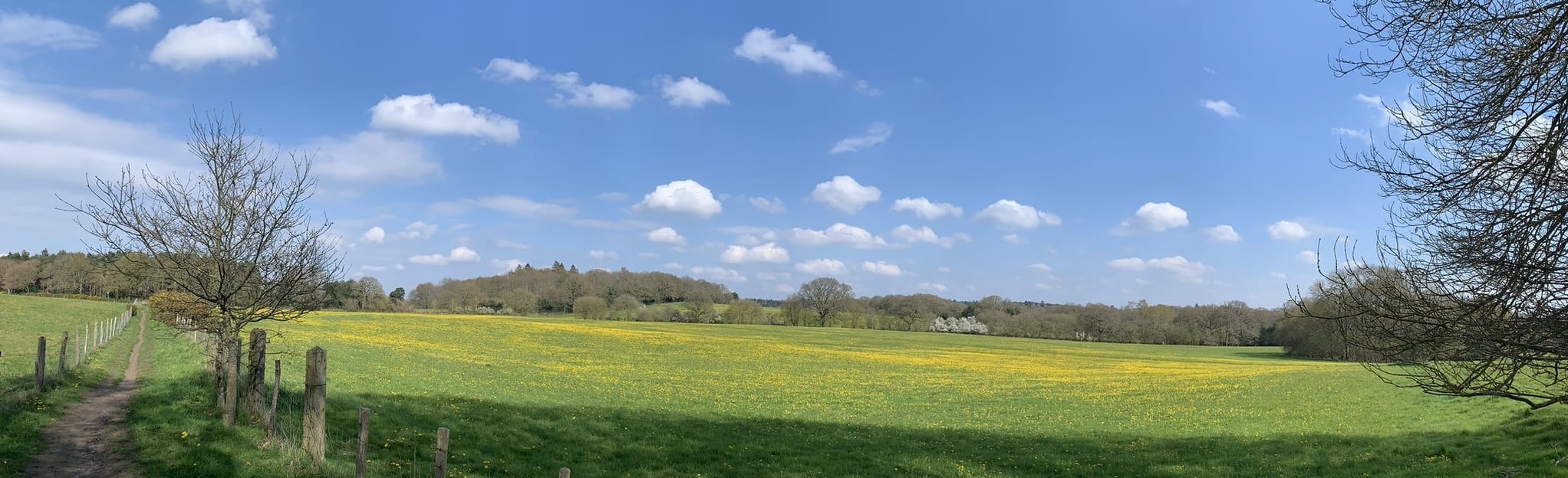 Bordon Camp and Broxhead Common: 38 Reviews, Map - Hampshire, England ...