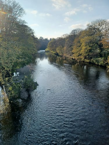 Best Hikes and Trails in Hailey Park | AllTrails