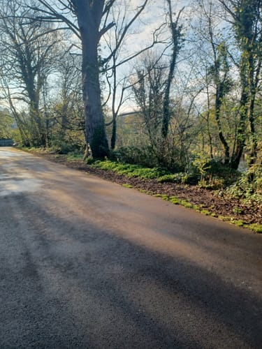 Best Hikes and Trails in Hailey Park | AllTrails