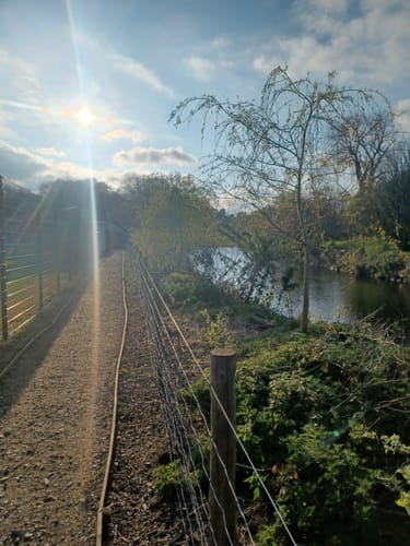 Best Hikes and Trails in Hailey Park | AllTrails