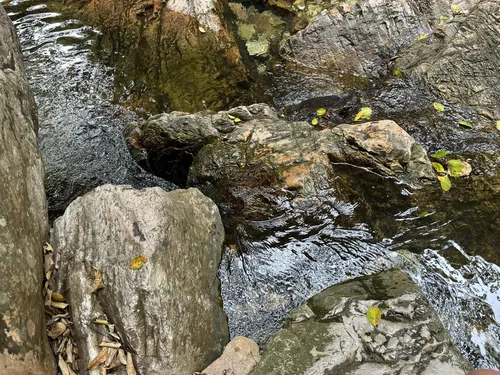 Best Camping Trails in Varadaiahpalem | AllTrails