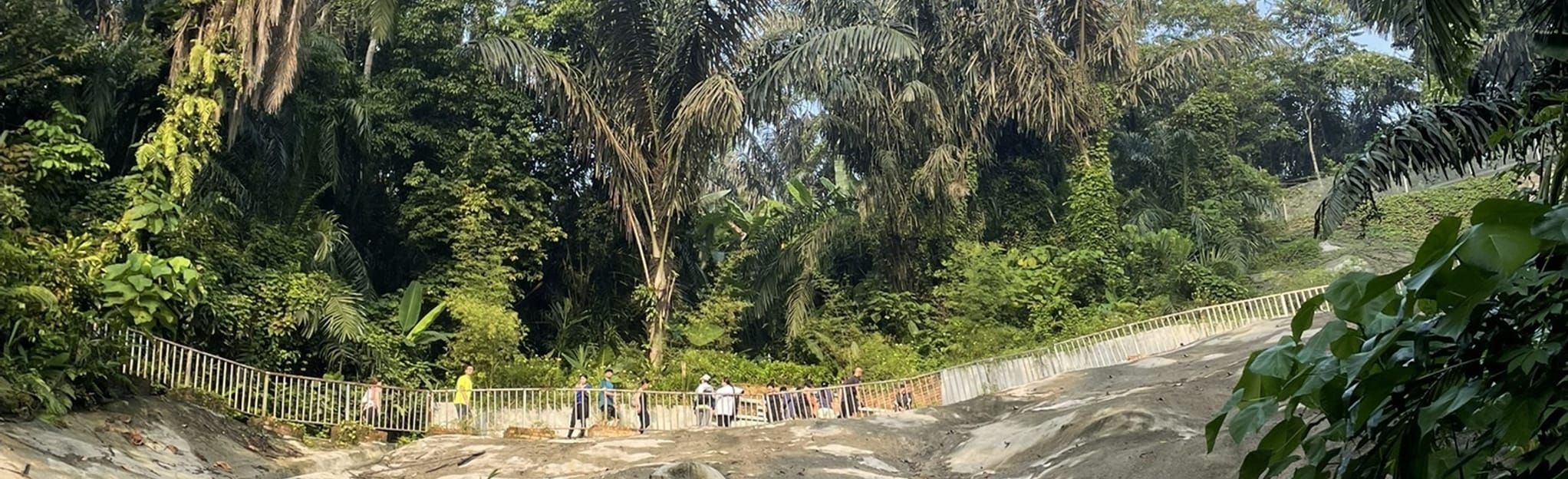 Taman Tugu Green - Yellow Trails: 490 foto's - Kuala Lumpur, Maleisië ...