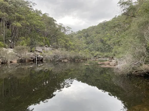 Best River Trails in Dharawal National Park | AllTrails